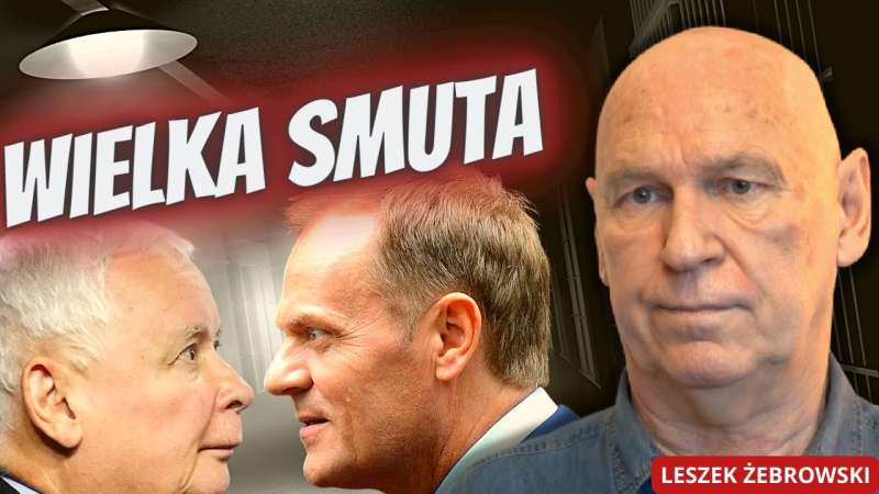 Wielka Smuta. Lekcja na nowy etap – Leszek Żebrowski